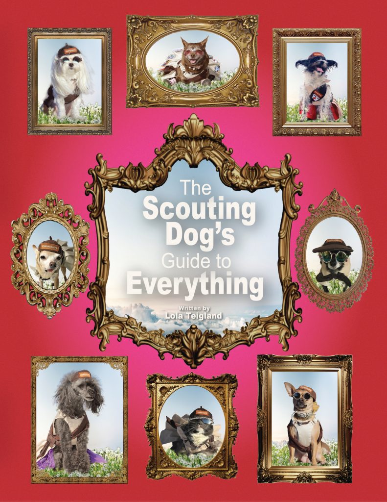 The Scouting Dog's Guide to Everything - Scouting Dogs